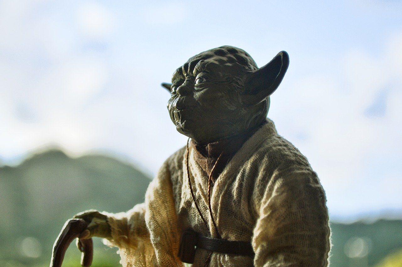 The Wisdom of Yoda | Wondertakings