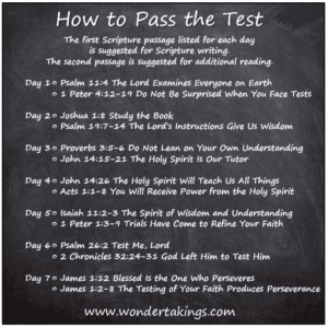How to Pass the Test | Wondertakings