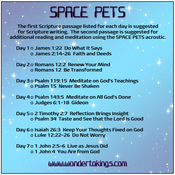 SPACE PETS Scripture Wondertakings