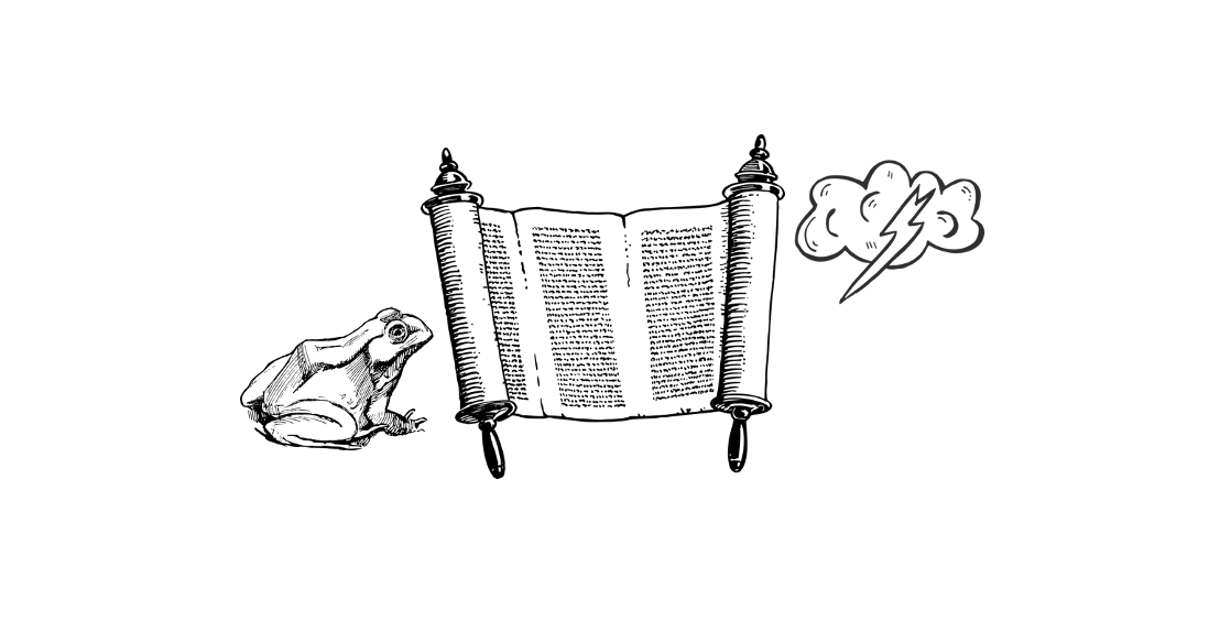 Wisdom, Frogs, & Weather Alerts | Wondertakings