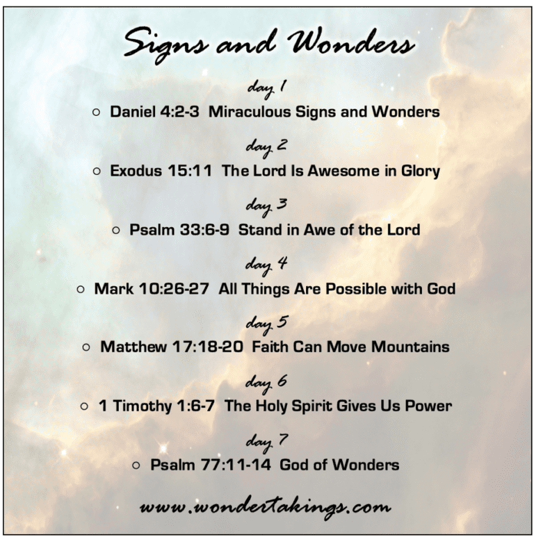 Signs and Wonders | Wondertakings